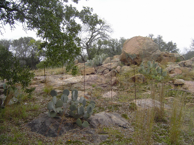 Day 32 - Menard, Texas